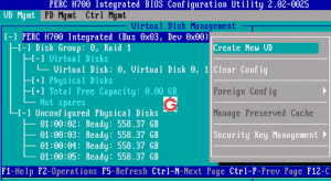 DELL Server: How To Create RAID Using PERC H700 Integrated BIOS ...